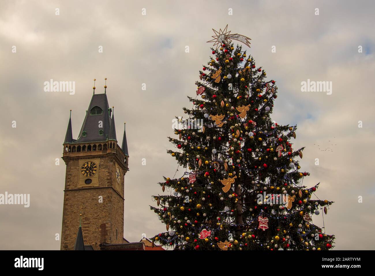 The Old Town Hall with Christmas tree Stock Photo - Alamy