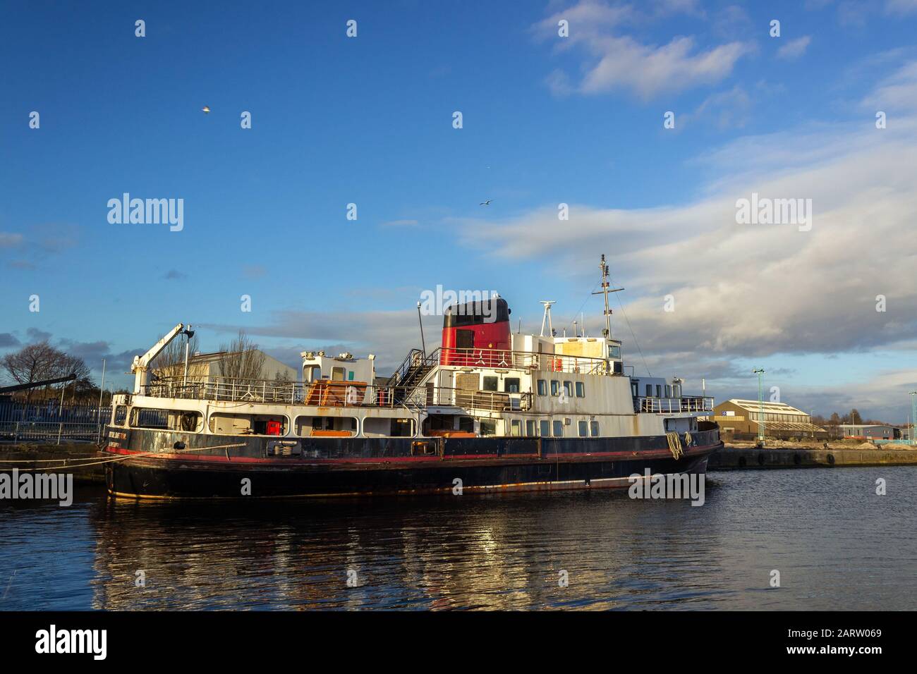Royal daffodil ferry hi-res stock photography and images - Alamy