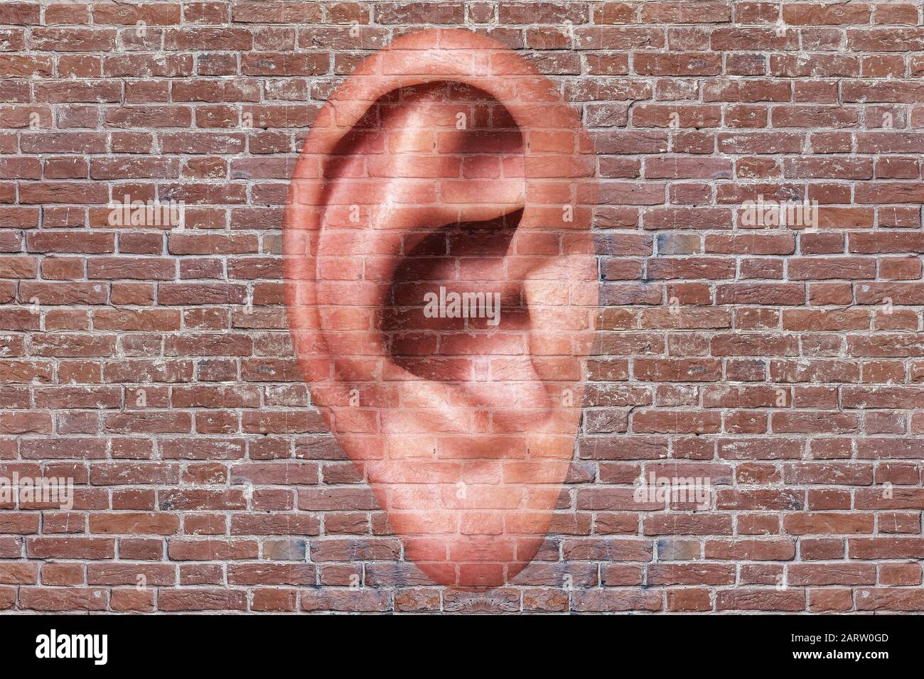 Ear to wall hi-res stock photography and images - Alamy