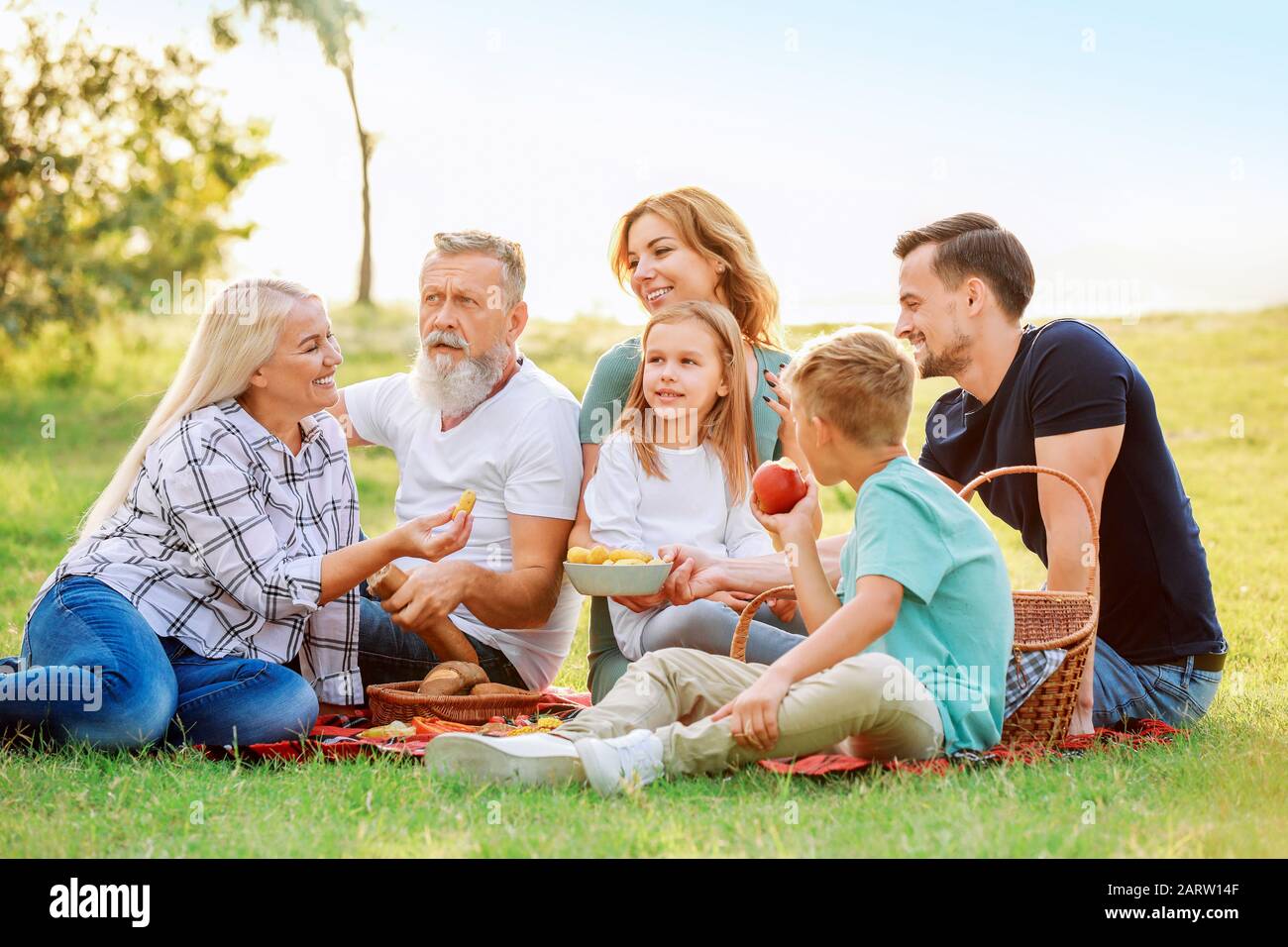Big family having picnic in park Stock Photo - Alamy