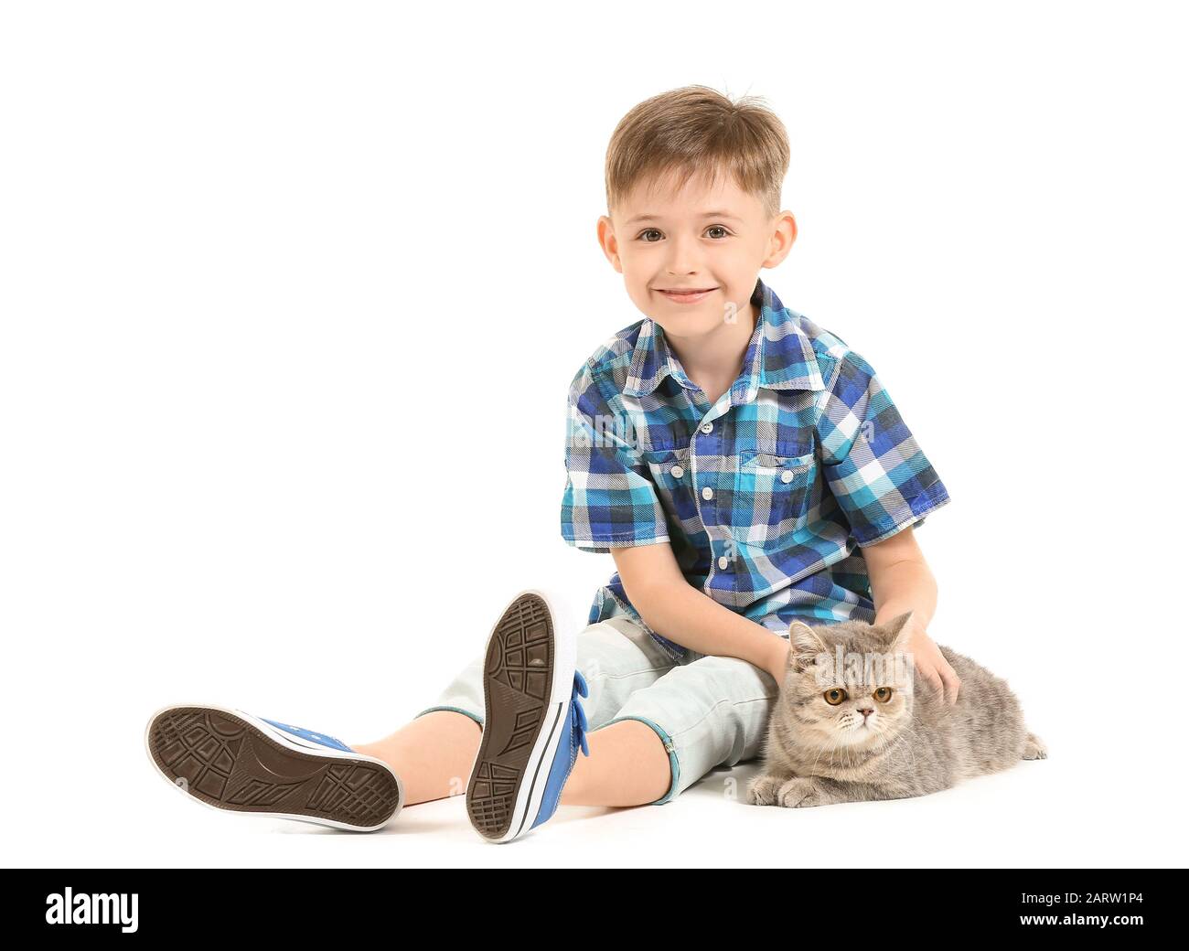 Little boy with cute cat on white background Stock Photo - Alamy