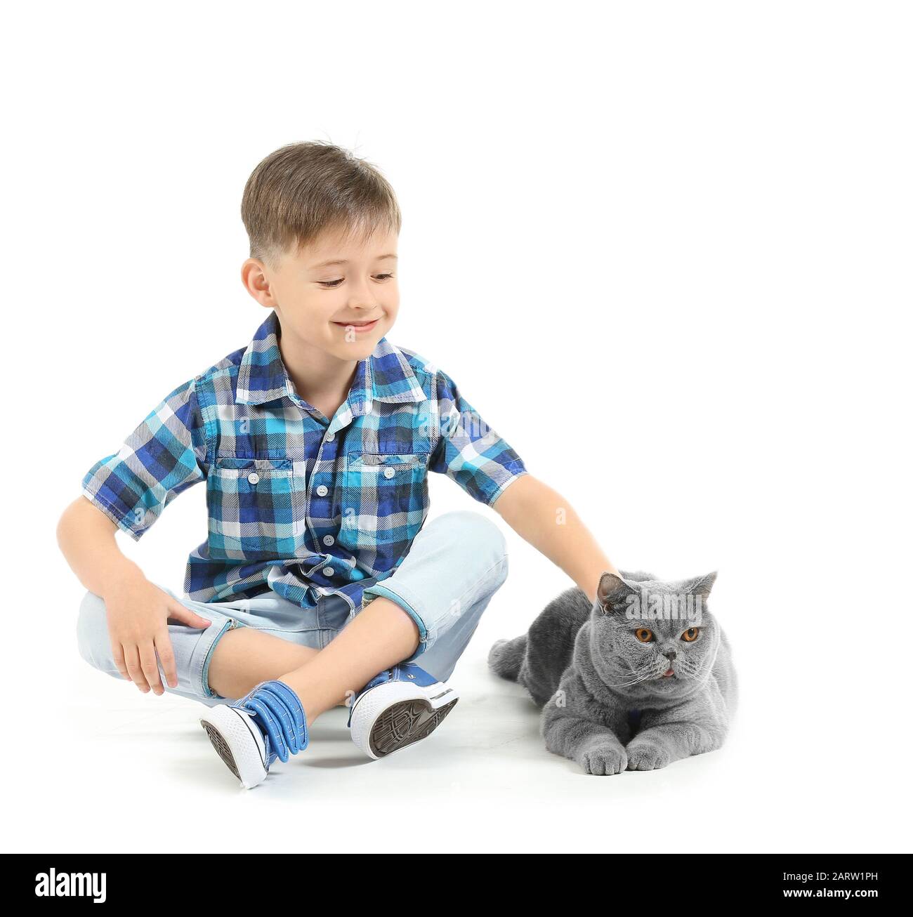 Little boy with cute cat on white background Stock Photo - Alamy