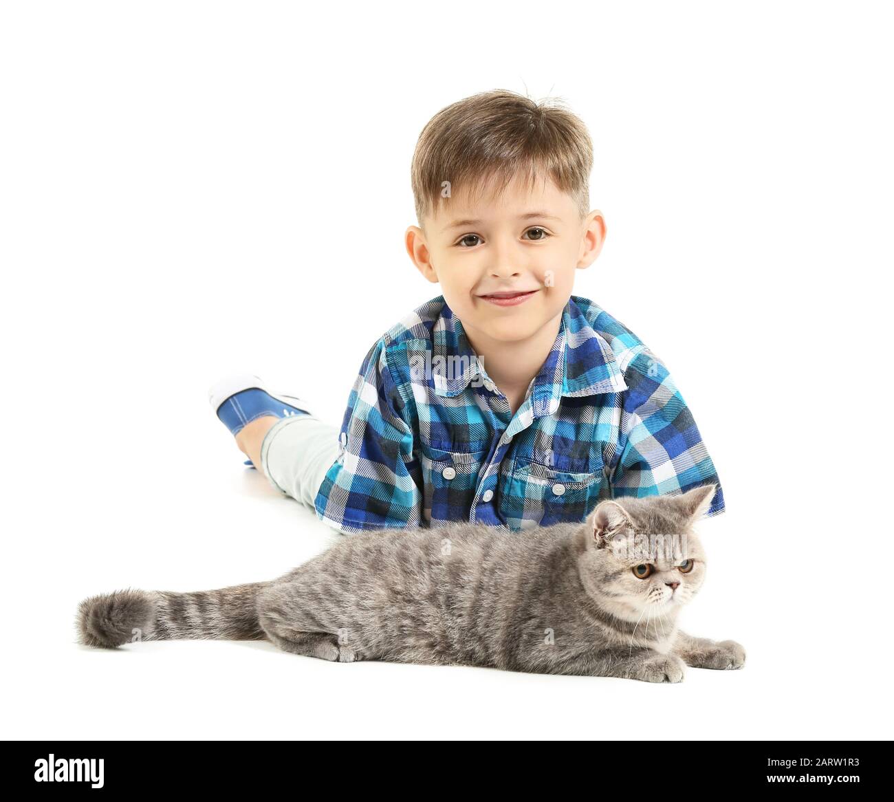 Little boy with cute cat on white background Stock Photo - Alamy