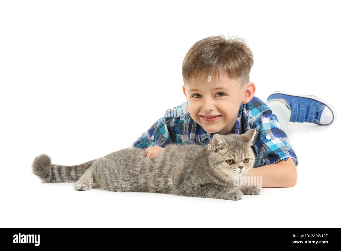 Little boy with cute cat on white background Stock Photo - Alamy