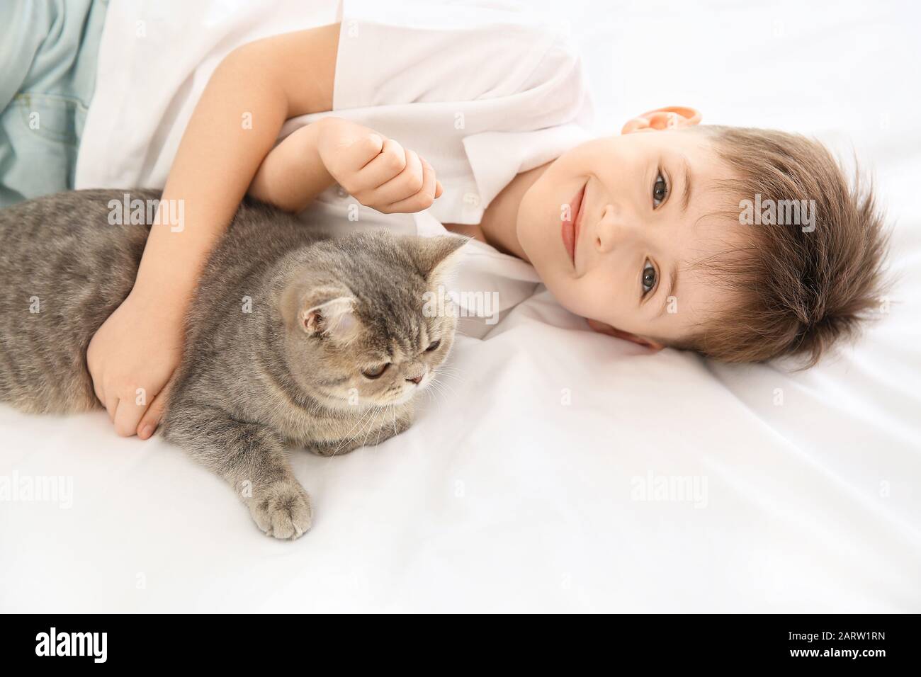 Little boy with cute cat in bedroom Stock Photo - Alamy