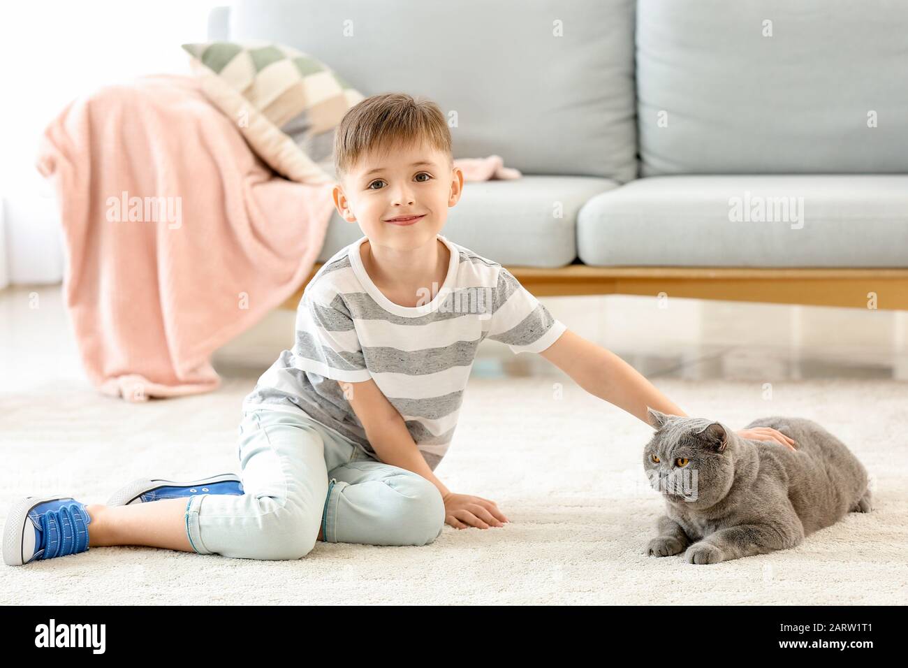 Boy with british shorthair cat hi-res stock photography and images - Alamy