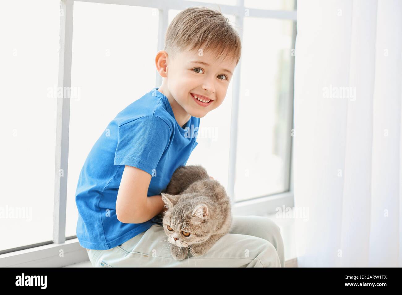 Little boy with cute cat near window Stock Photo - Alamy