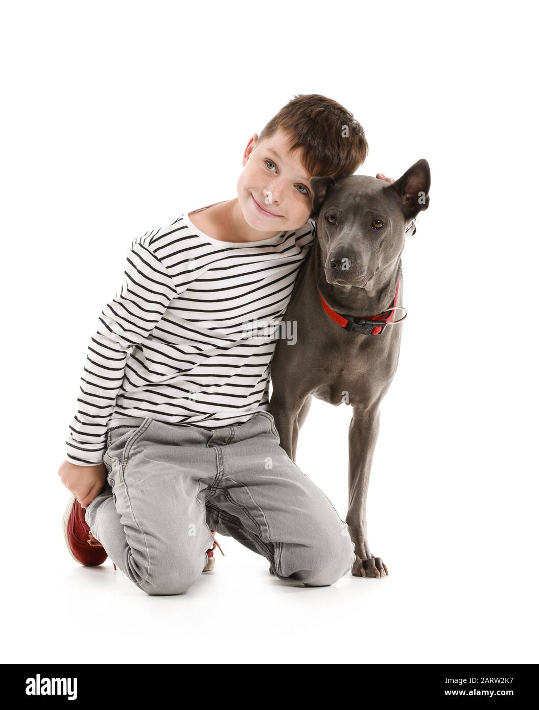 Little boy with cute dog on white background Stock Photo - Alamy