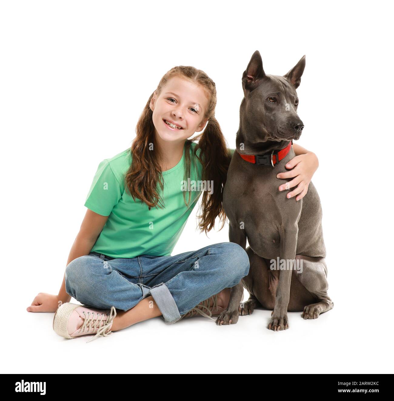 Little girl with cute dog on white background Stock Photo - Alamy