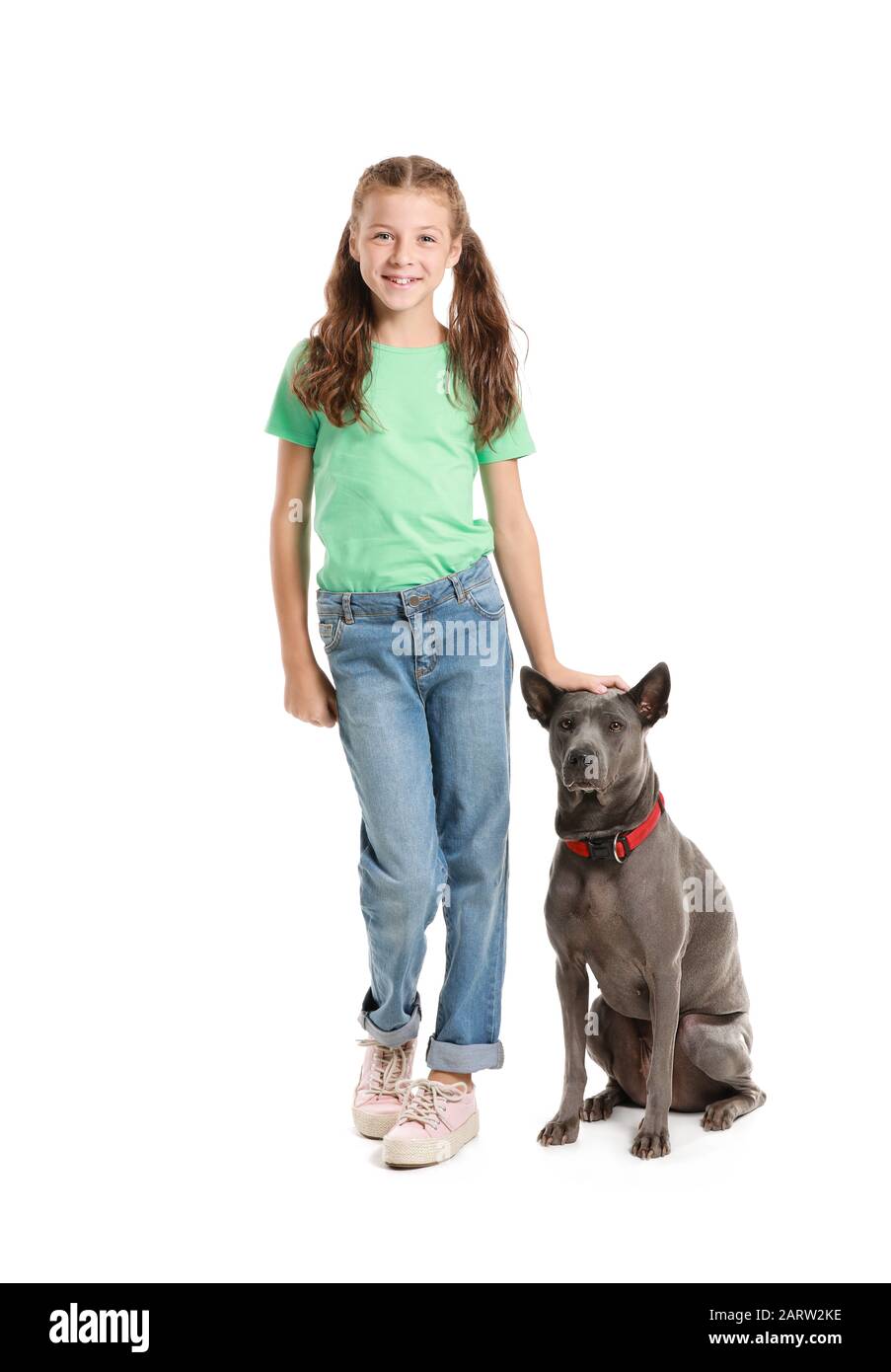 Little girl with cute dog on white background Stock Photo - Alamy