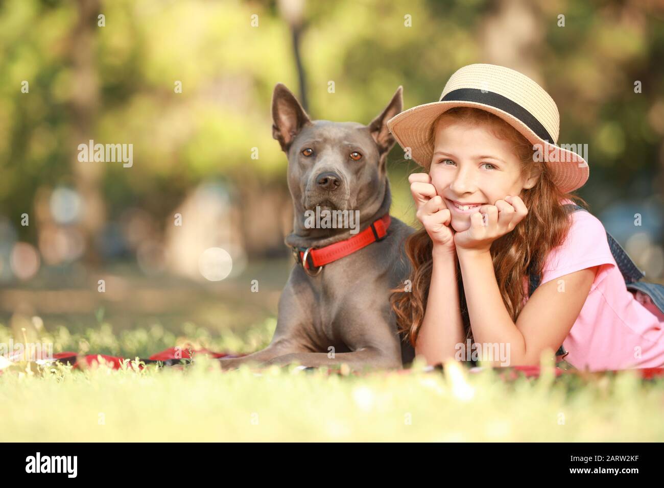Little girl with cute dog in park Stock Photo - Alamy