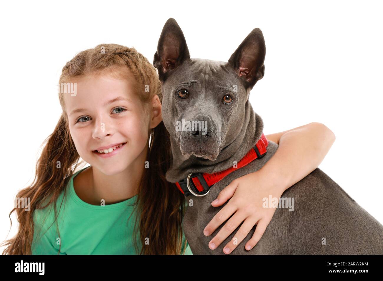 Little girl with cute dog on white background Stock Photo - Alamy