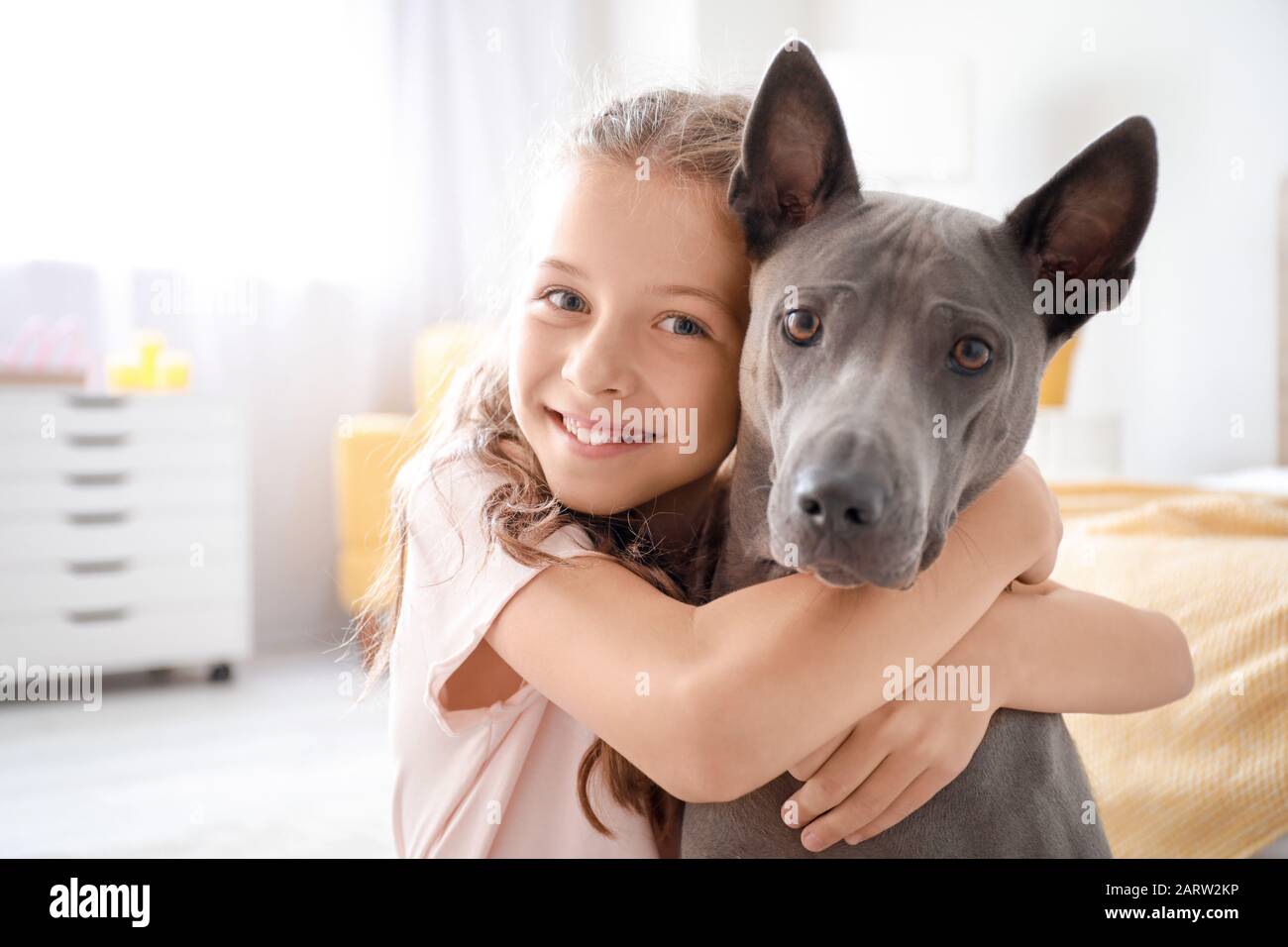 Little girl with cute dog at home Stock Photo - Alamy