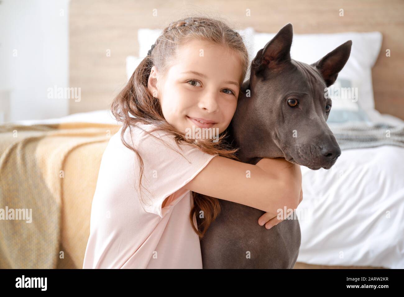 Little girl with cute dog at home Stock Photo - Alamy