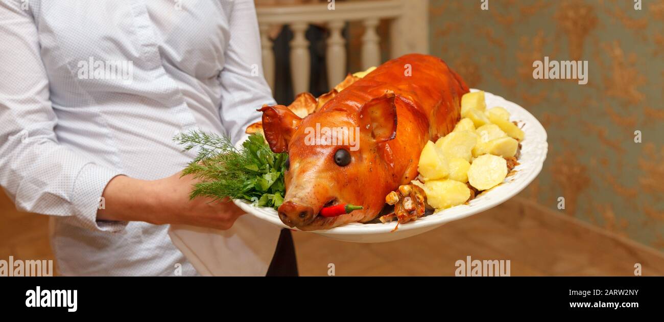 Healthy pig hi-res stock photography and images - Alamy