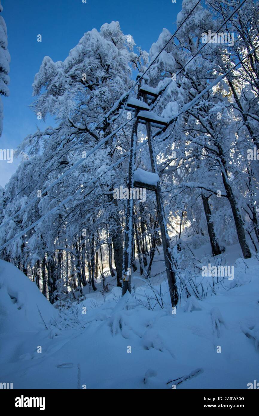 Electrical cables running through forest near Komna Stock Photo - Alamy