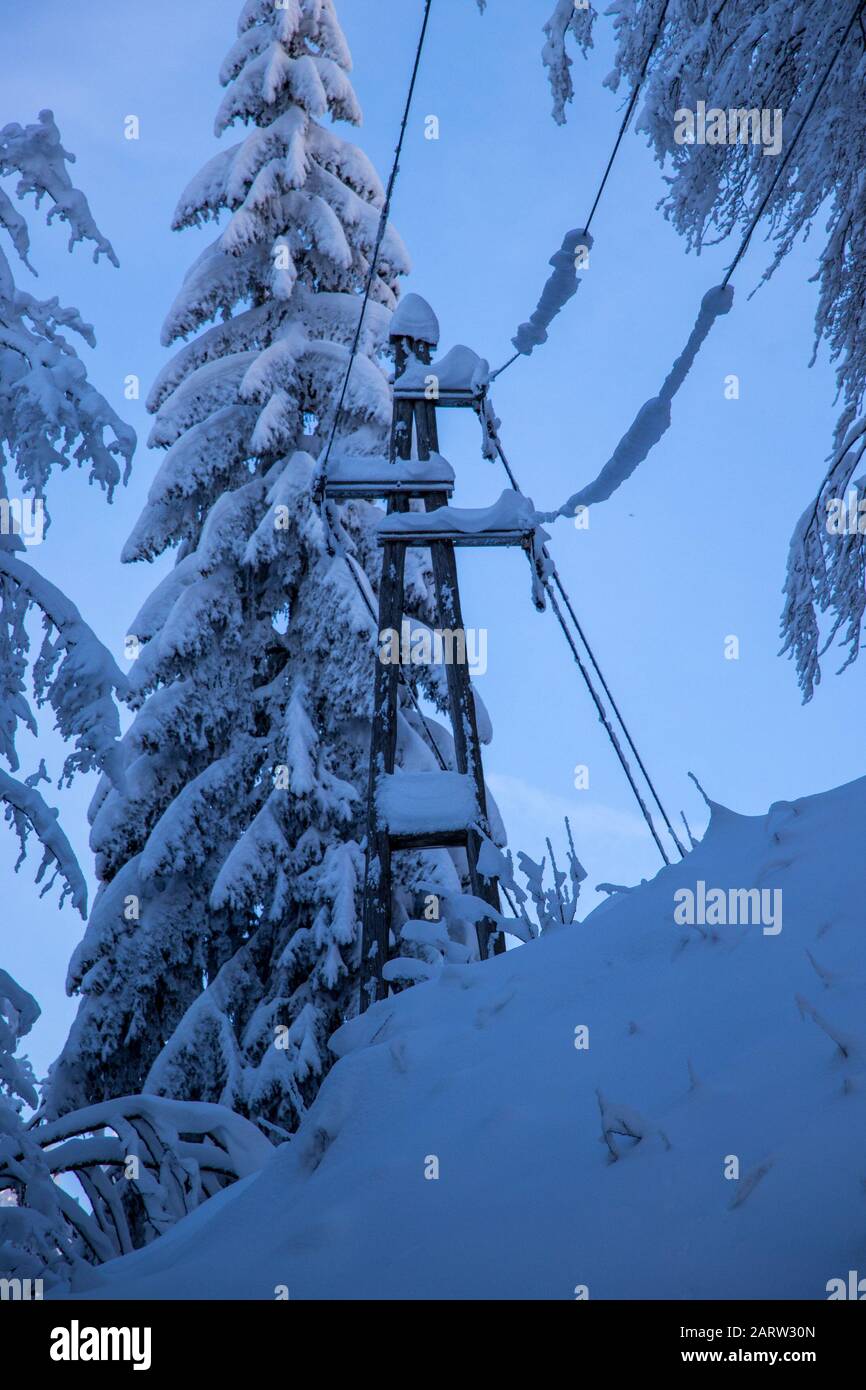 Electrical cables running through forest, covered in snow Stock Photo ...