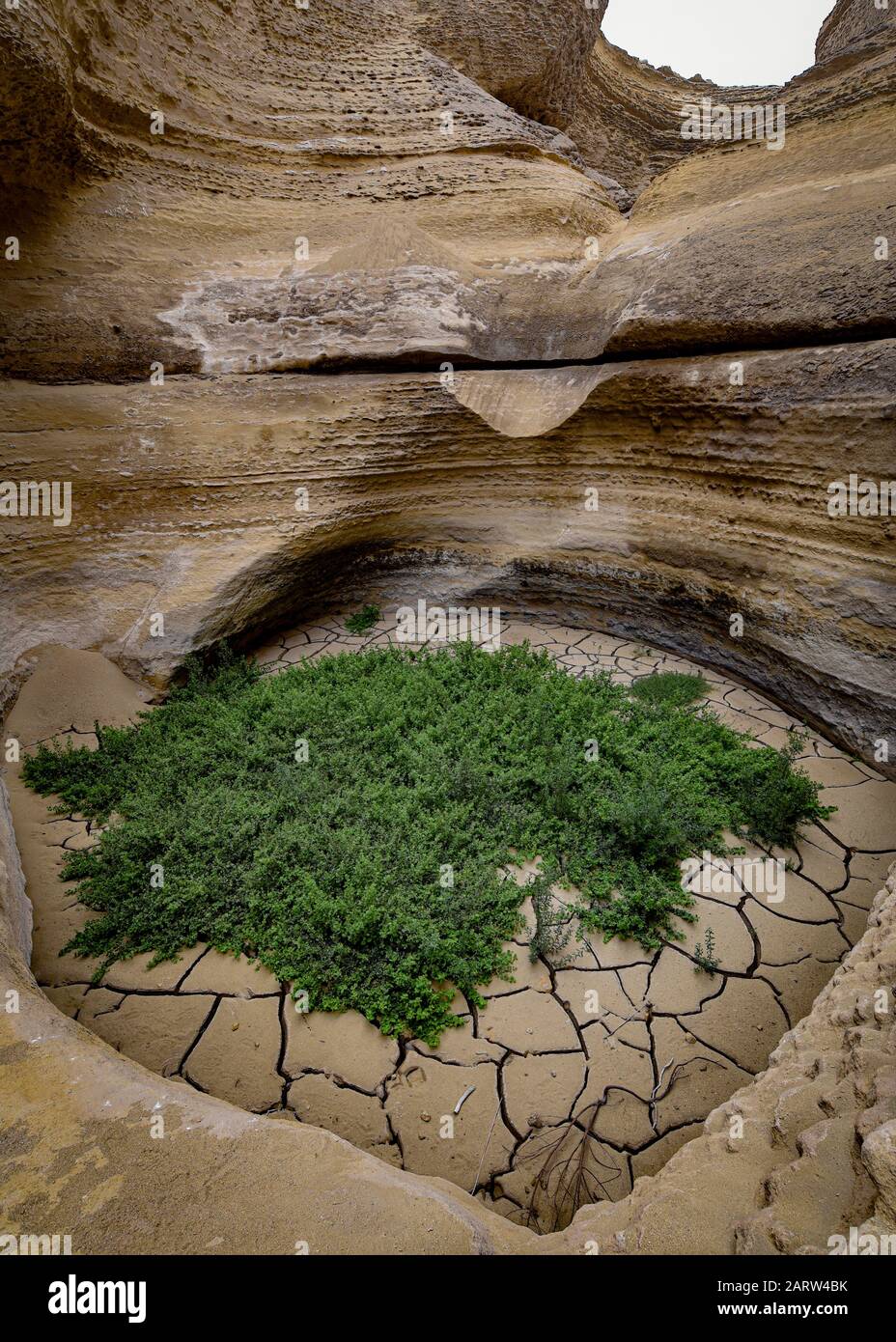 A dried out waterfall in the Canyon de los Perdidas (Lost Canyon ...