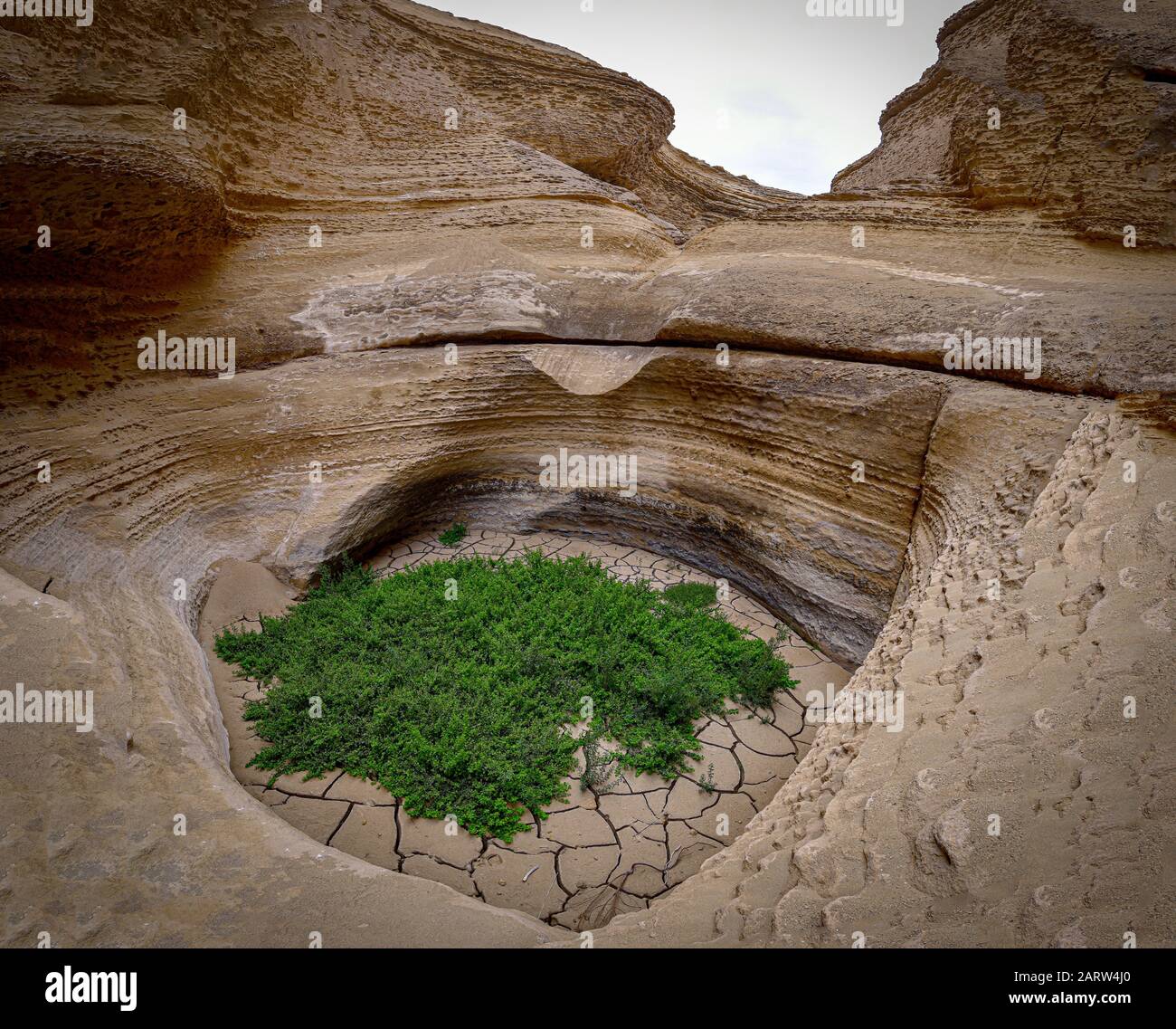 A dried out waterfall in the Canyon de los Perdidas (Lost Canyon ...