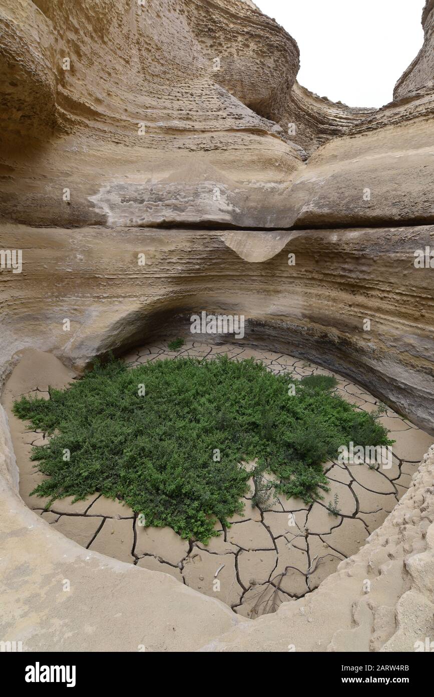A dried out waterfall in the Canyon de los Perdidas (Lost Canyon ...