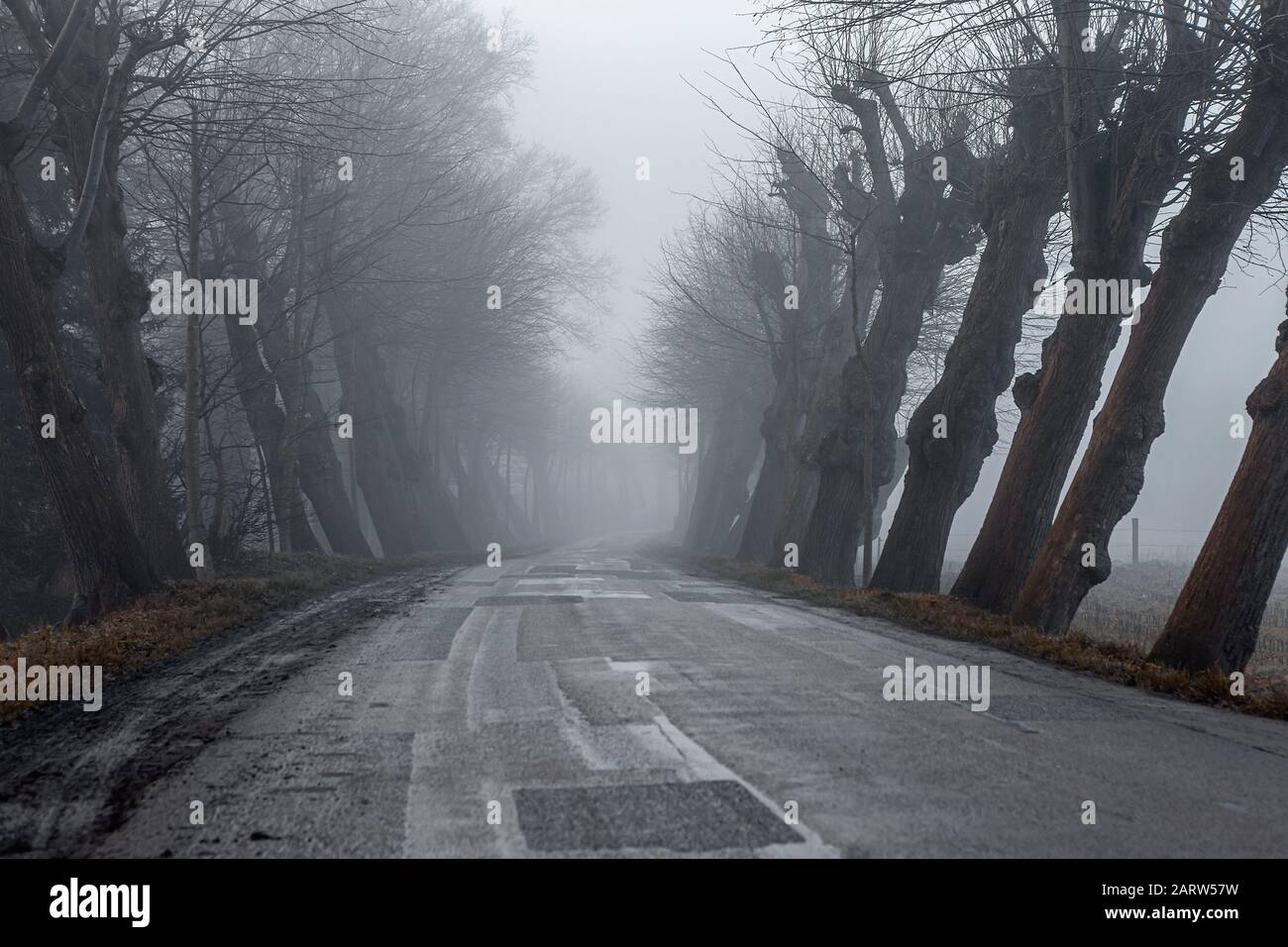 Foggy day hi-res stock photography and images - Alamy