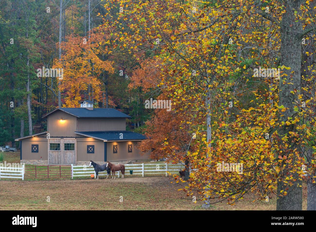 USA,Deep South, Tennessee, Oneida, Barn with horses Stock Photo - Alamy