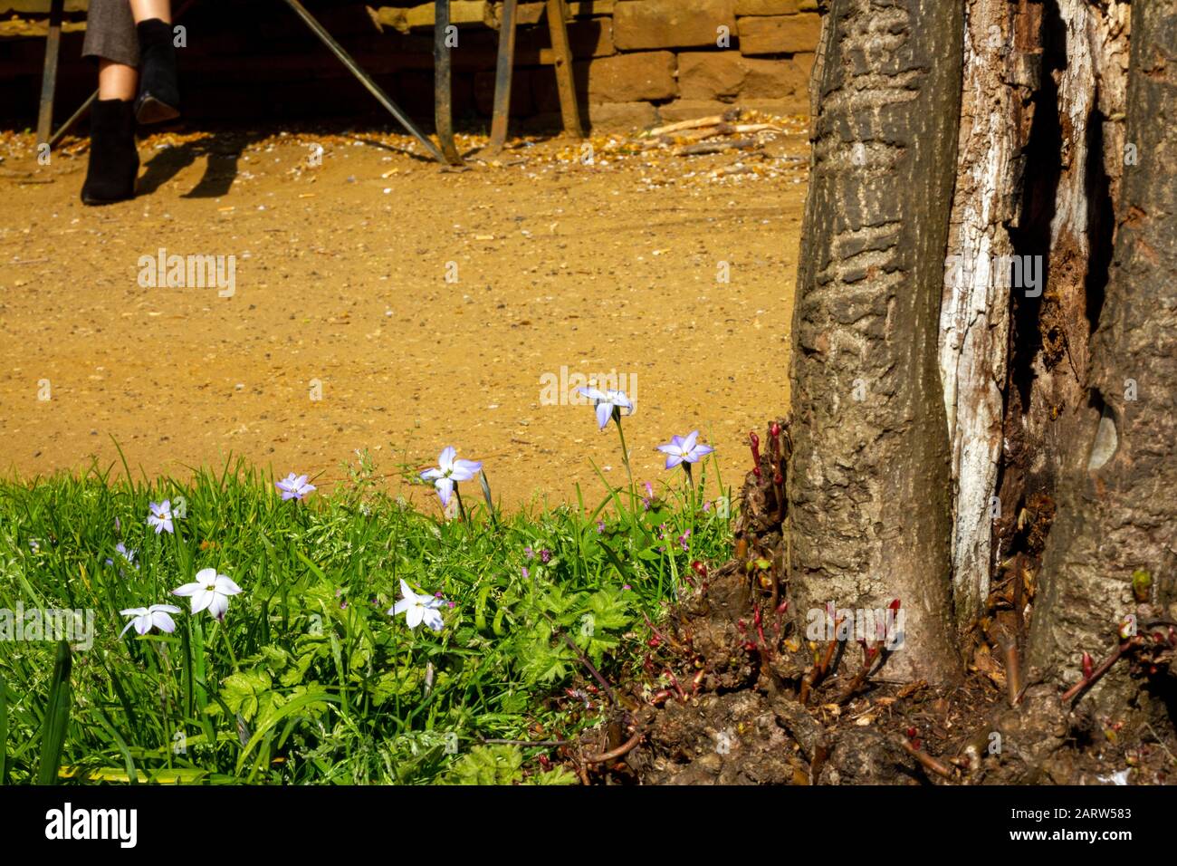 Refresh relax hi-res stock photography and images - Alamy