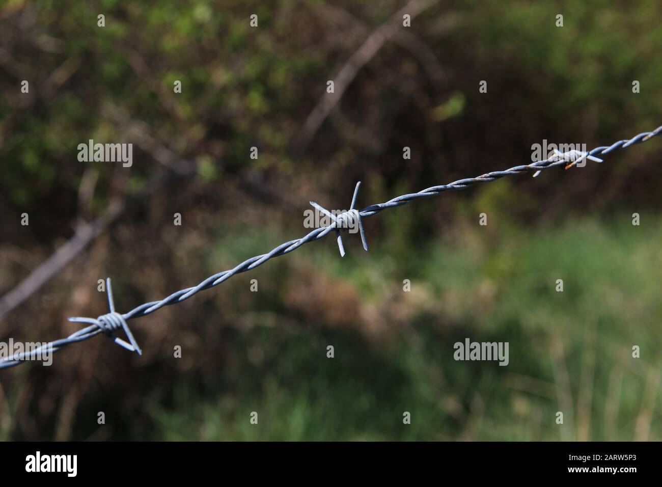 barbed wire with burred image of field Stock Photo - Alamy