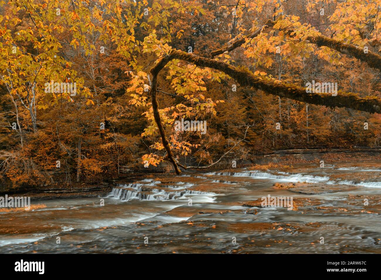 USA, Deep South, Tennessee, Nashville, Burgess Falls, State Park Stock ...