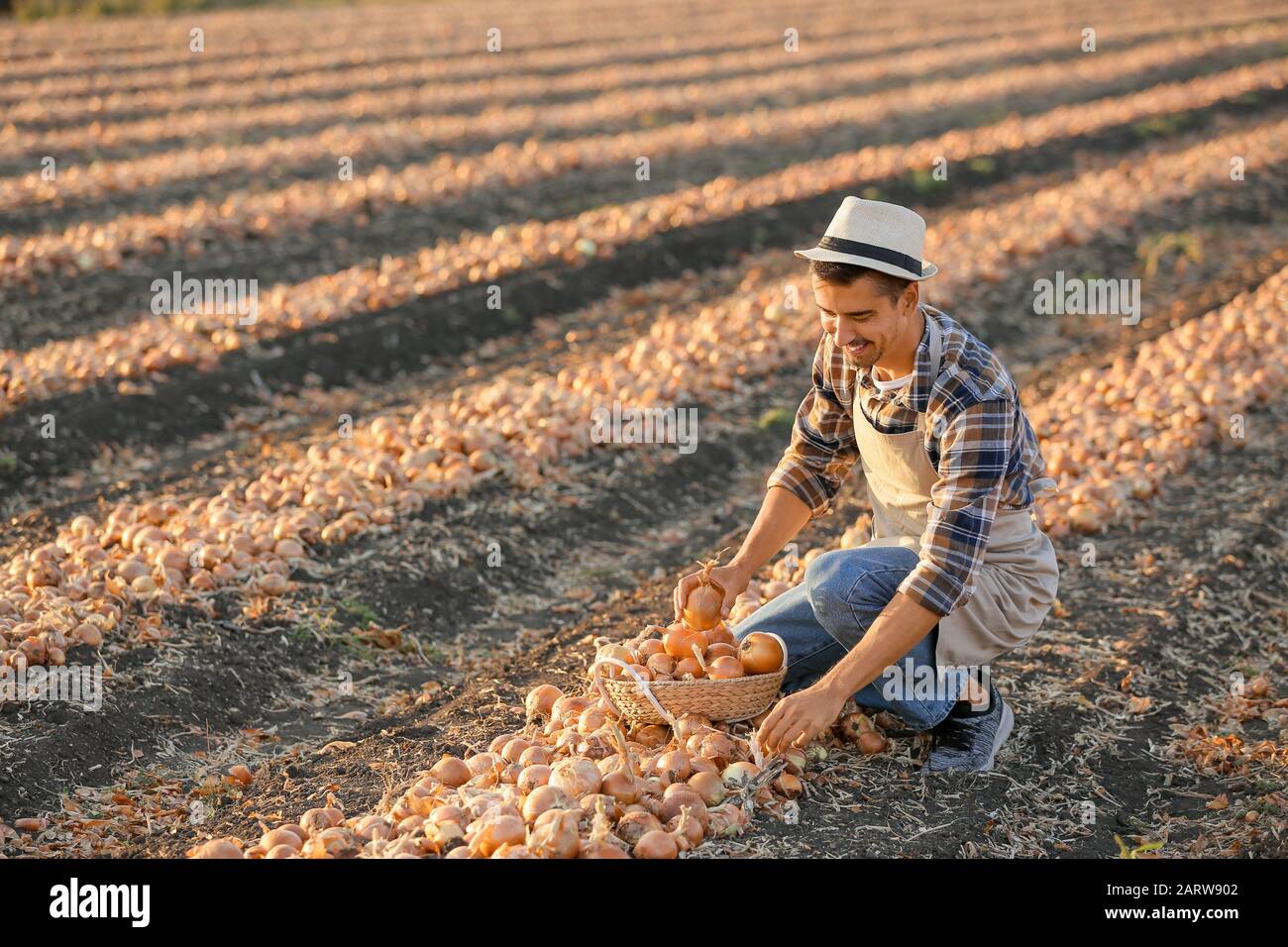 Gathering yield hi-res stock photography and images - Alamy
