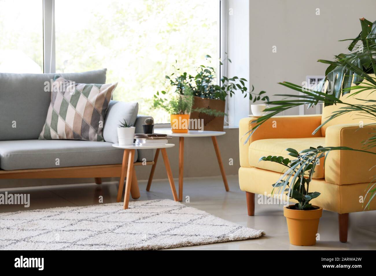 Stylish interior of room with beautiful houseplants Stock Photo - Alamy