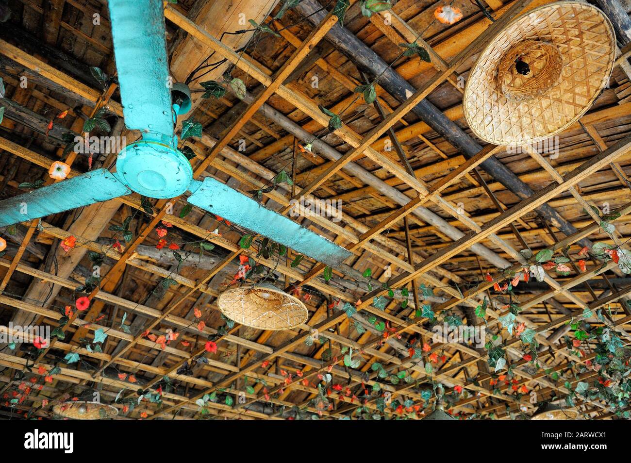 Wooden roof with blue ceiling fan in abandoned restaurant in tropical ...