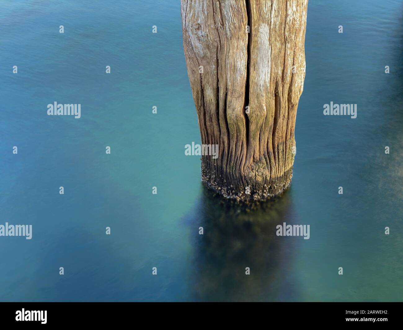 Wooden pole in the water Stock Photo - Alamy