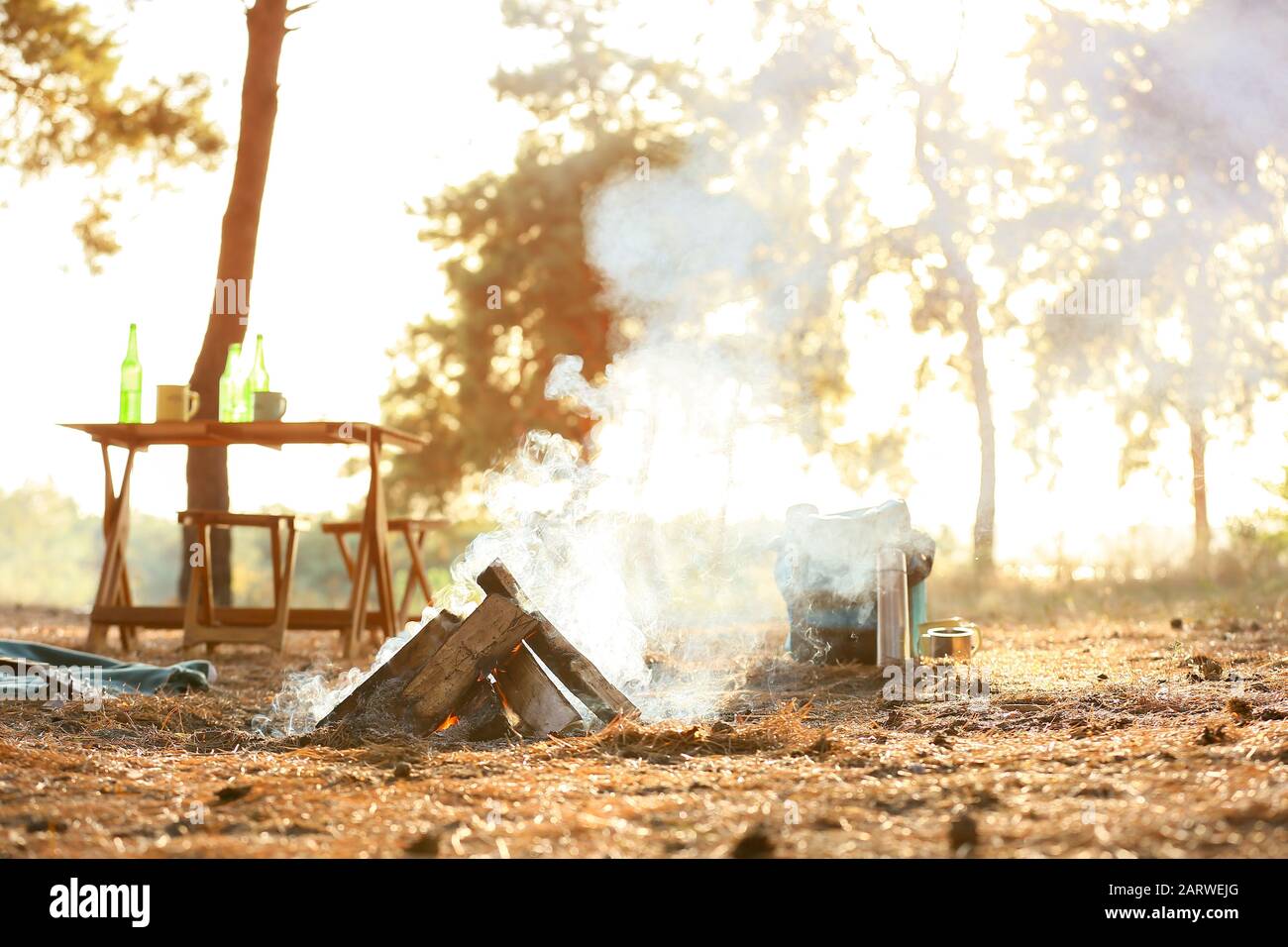 Burning camp fire in forest Stock Photo - Alamy
