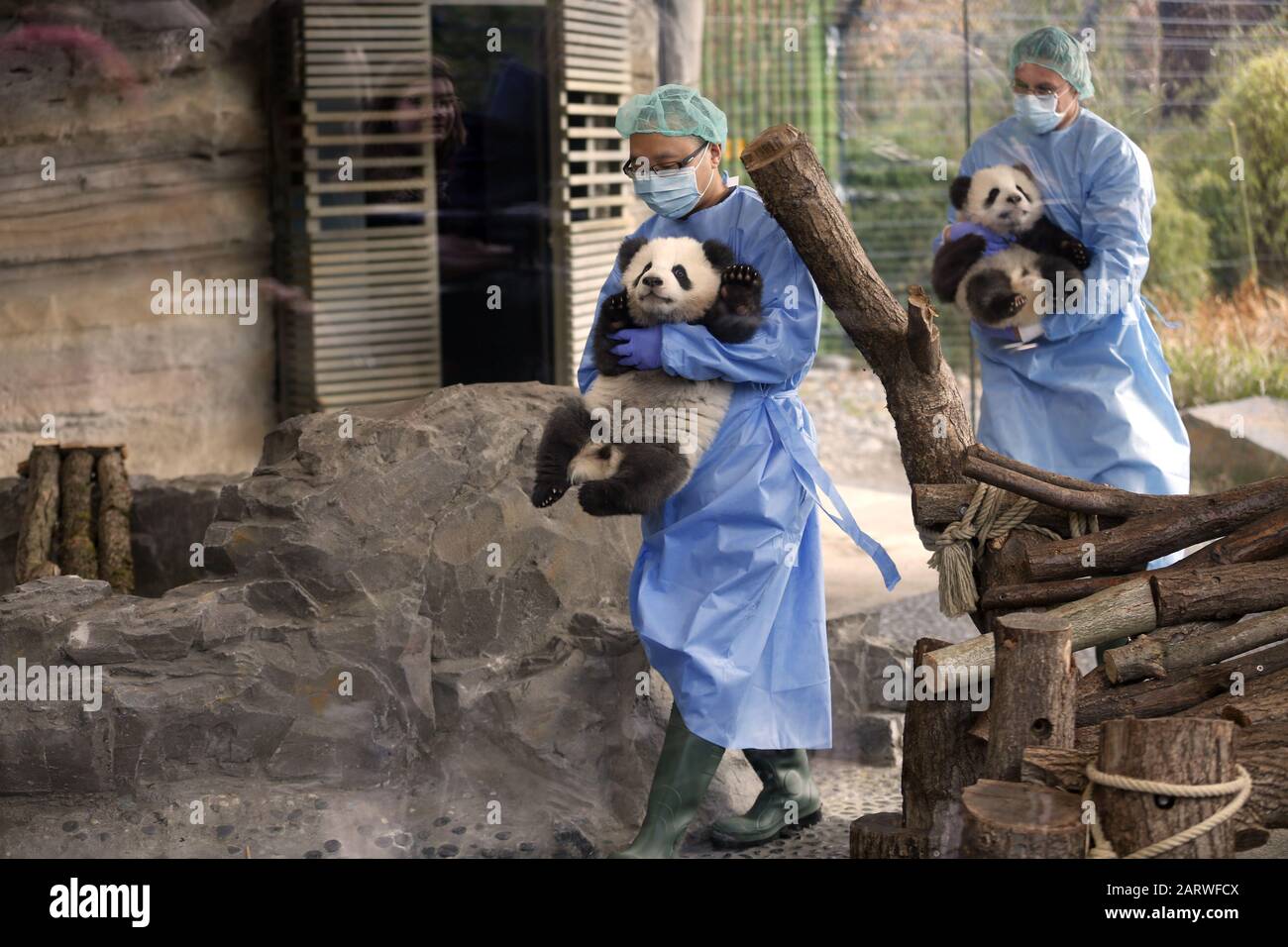 Berlin: The photo shows the Zookeeper with the panda twins in his arms ...