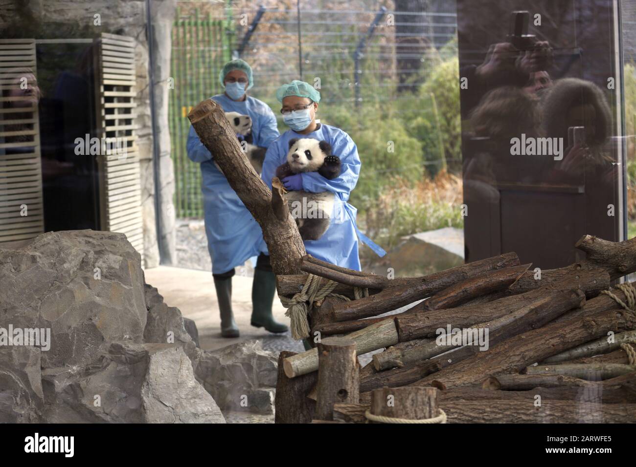 Berlin: The photo shows the Zookeeper with the panda twins in his arms ...