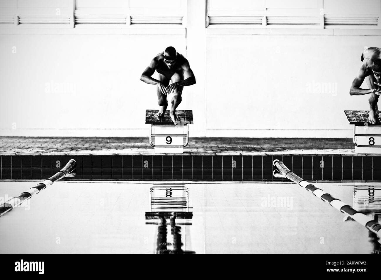 Swimmers plunging in the pool Stock Photo - Alamy Swimmers plunging in the pool Stock Photo - Alamy