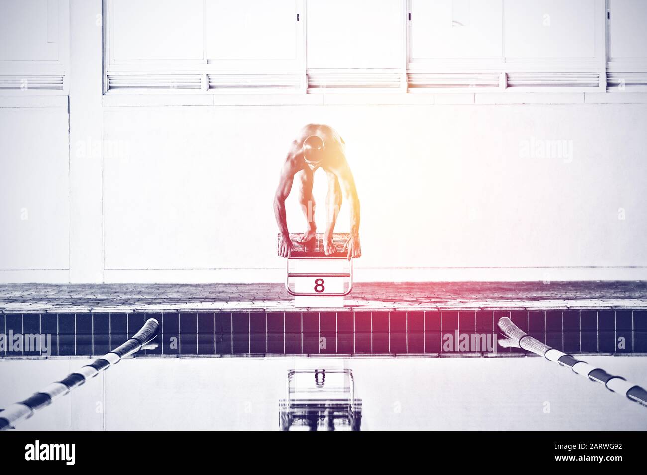 Swimmer ready to plunge Stock Photo - Alamy