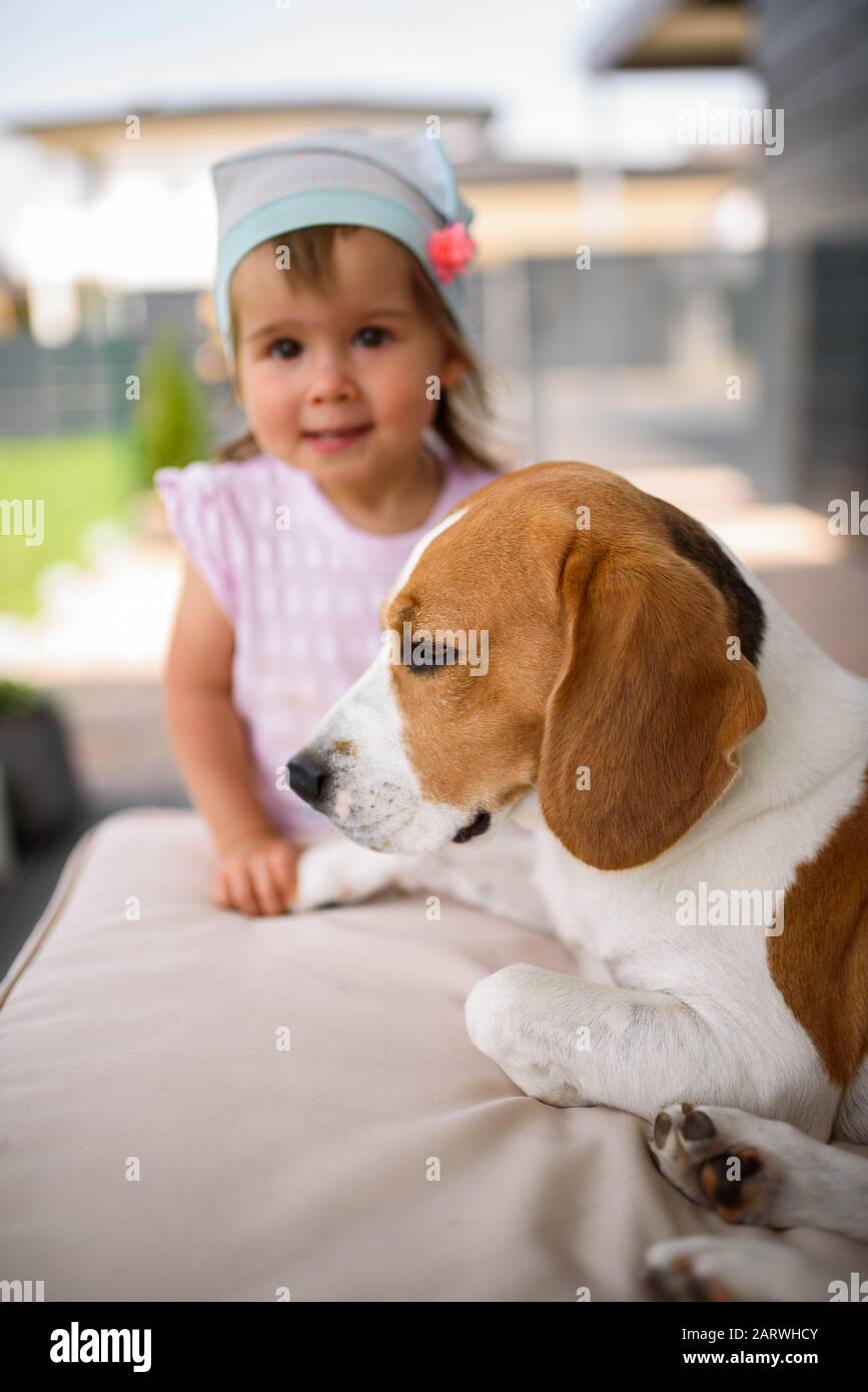 Cute 8 months old Baby girl infant outdoors with her best friend beagle ...
