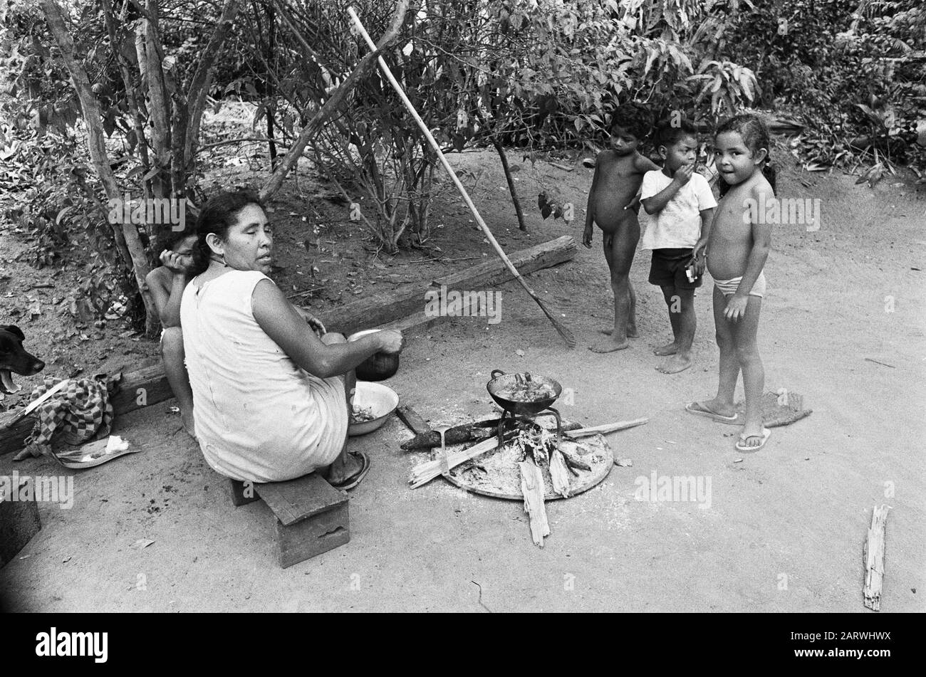 Suriname, Bosland Creole and Indians; Indian Woman Cooks Food Date ...