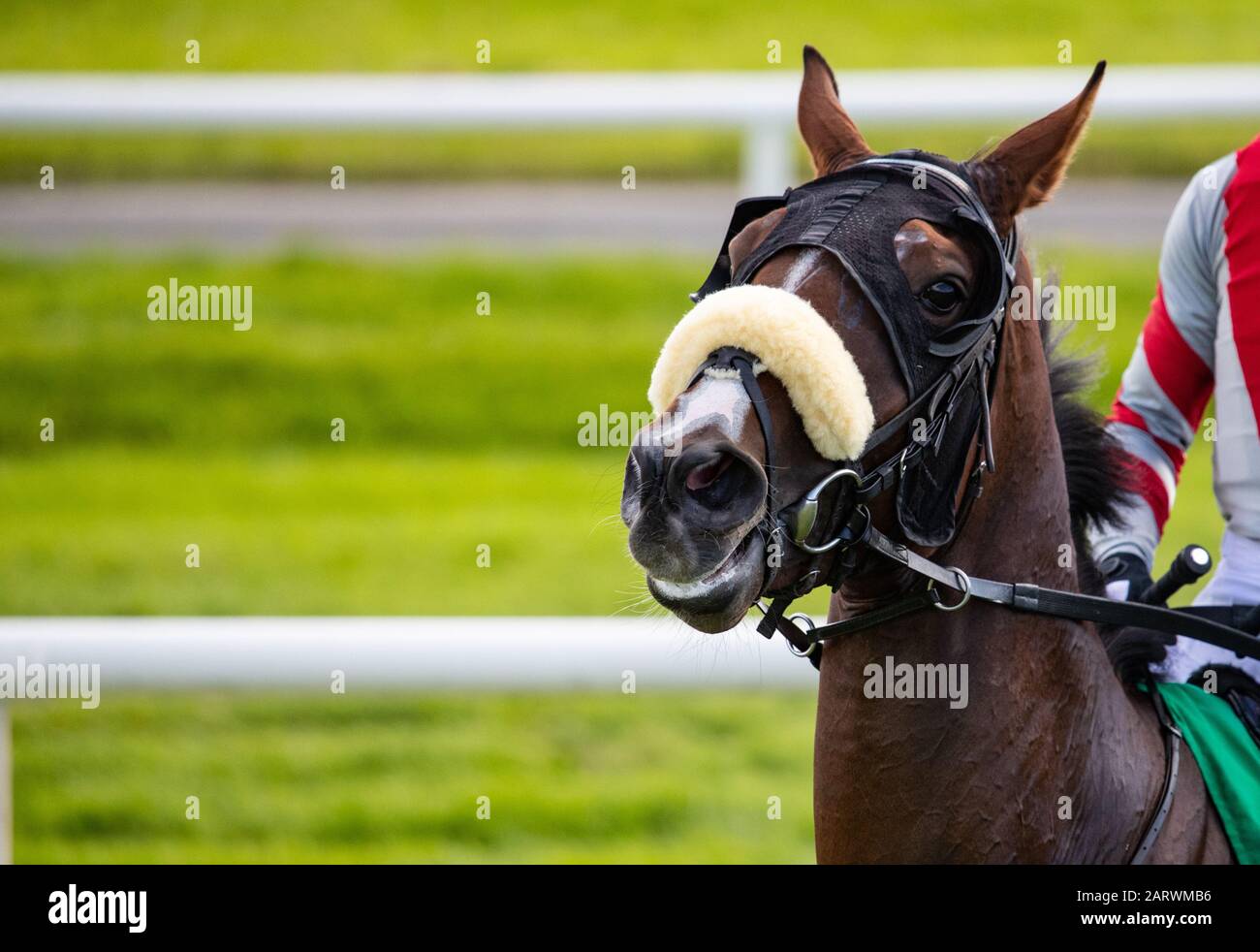 Horseracing track hi-res stock photography and images - Alamy