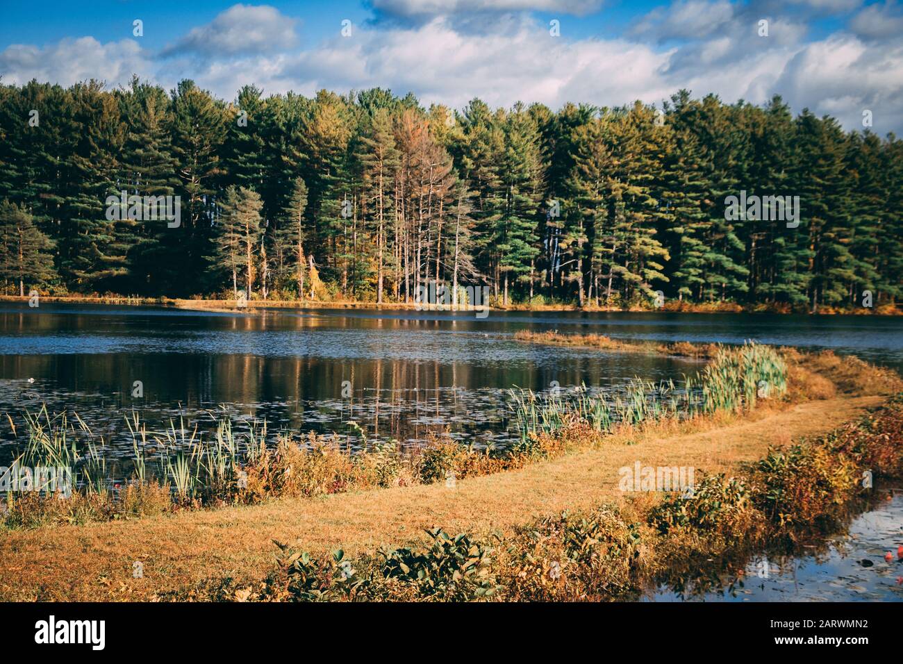 Lake and an autumn forest near it-good for a cool background Stock ...