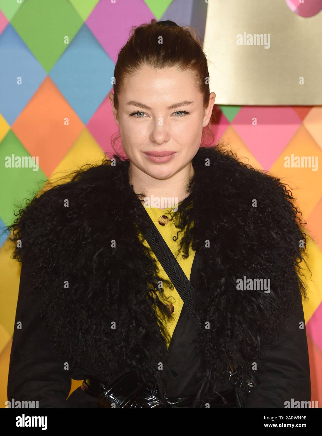 Photo Must Be Credited ©Alpha Press 079965 29/01/2020 Jess Jessica ...