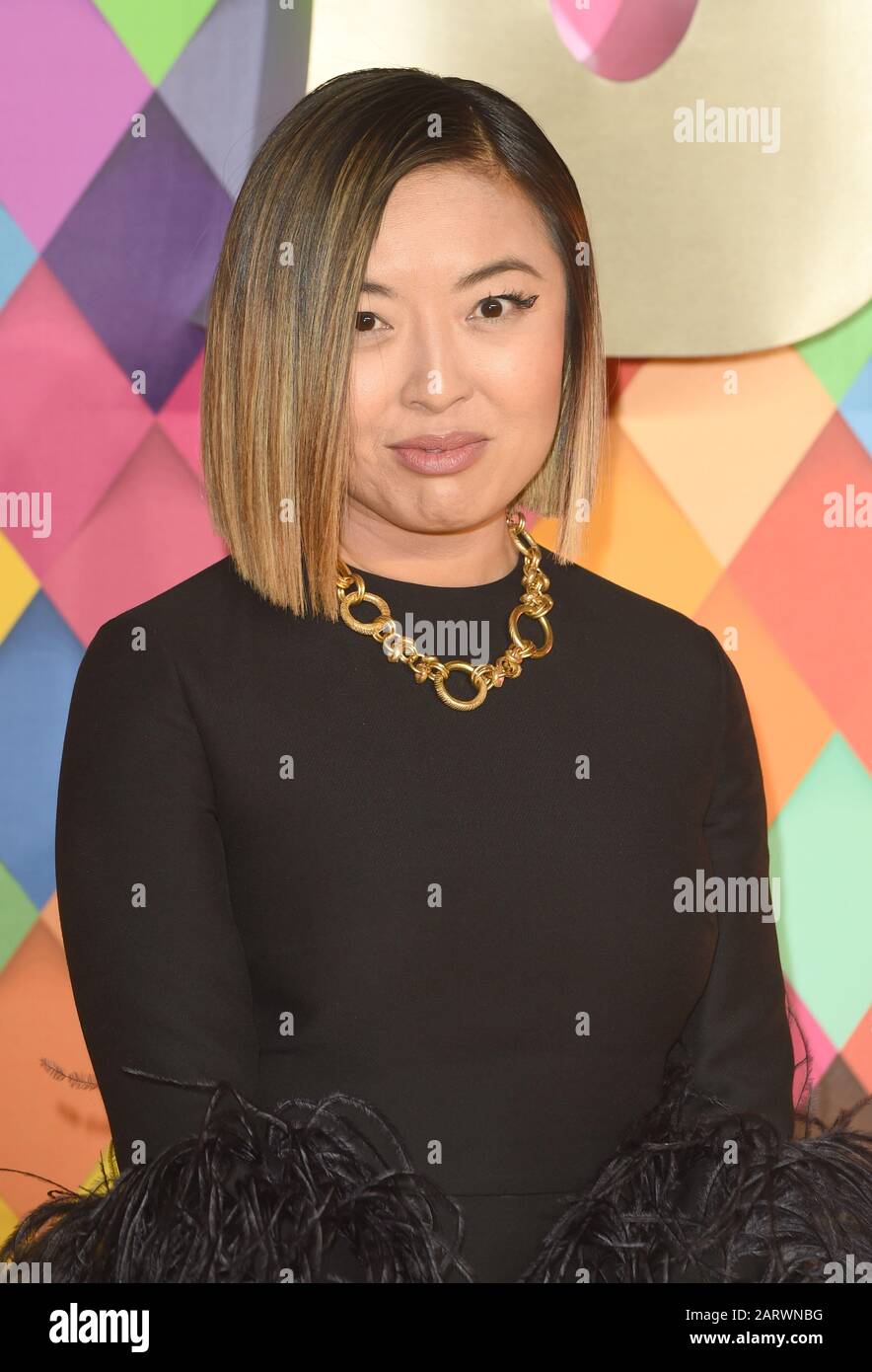 Photo Must Be Credited ©Alpha Press 079965 29/01/2020 Cathy Yan at the ...