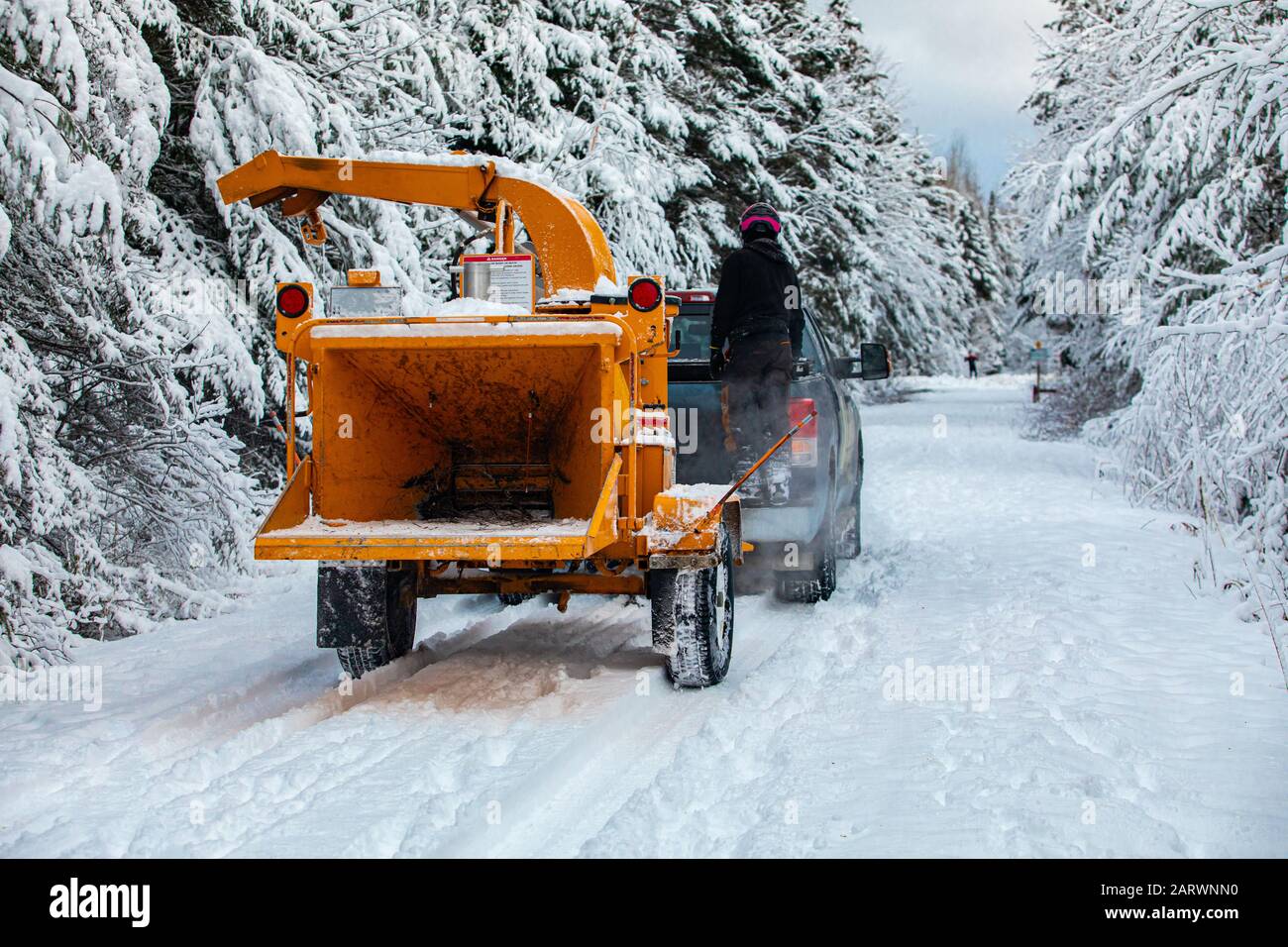 A wide view of an arborist standing on the back of a truck pulling a ...