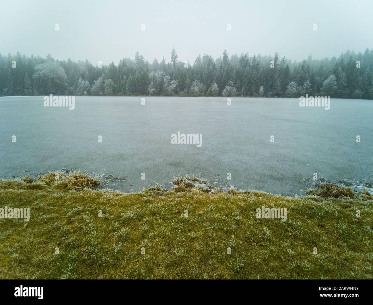 Frozen lake landscape with forest in winter - Frost on trees and grass ...