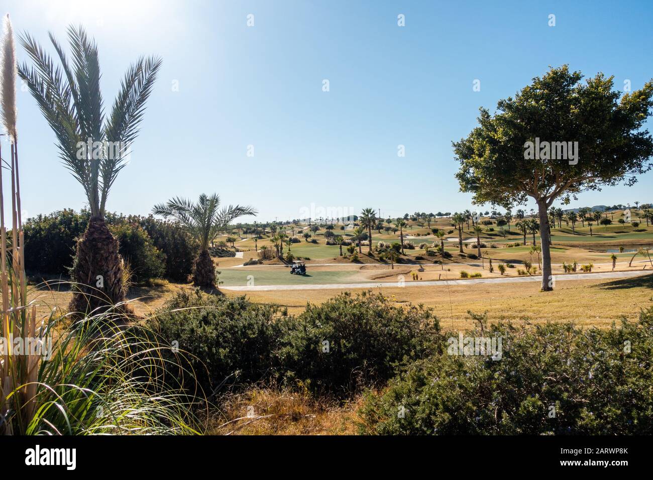 Lawn and shrubs in foreground hi-res stock photography and images - Alamy