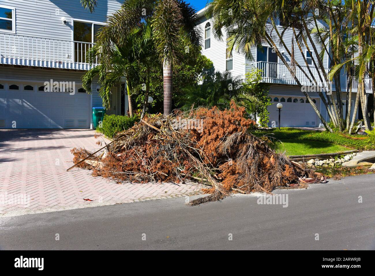 Piles of trees hi-res stock photography and images - Alamy