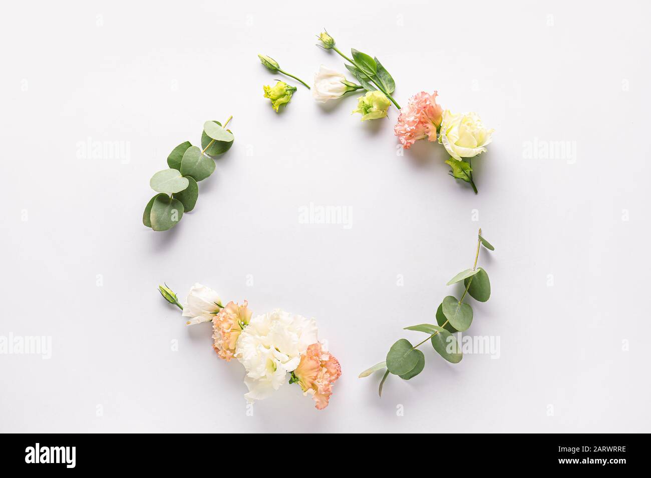 Beautiful composition with flowers on white background Stock Photo - Alamy