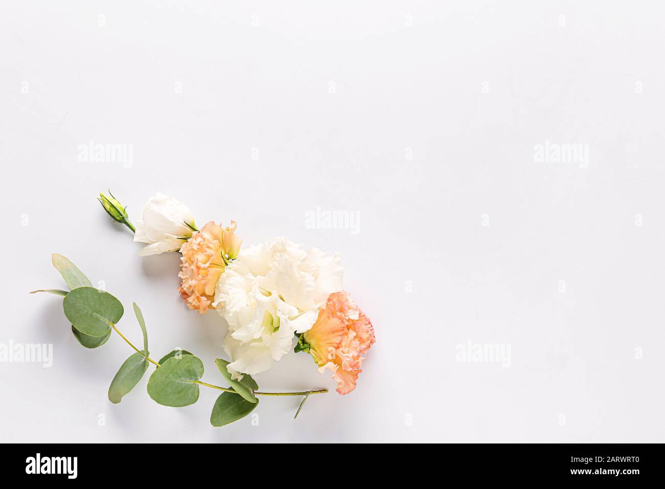 Beautiful composition with flowers on white background Stock Photo - Alamy